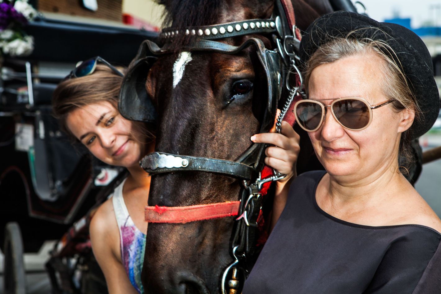 Portraits of 9 New York City Carriage Drivers and Their Horses