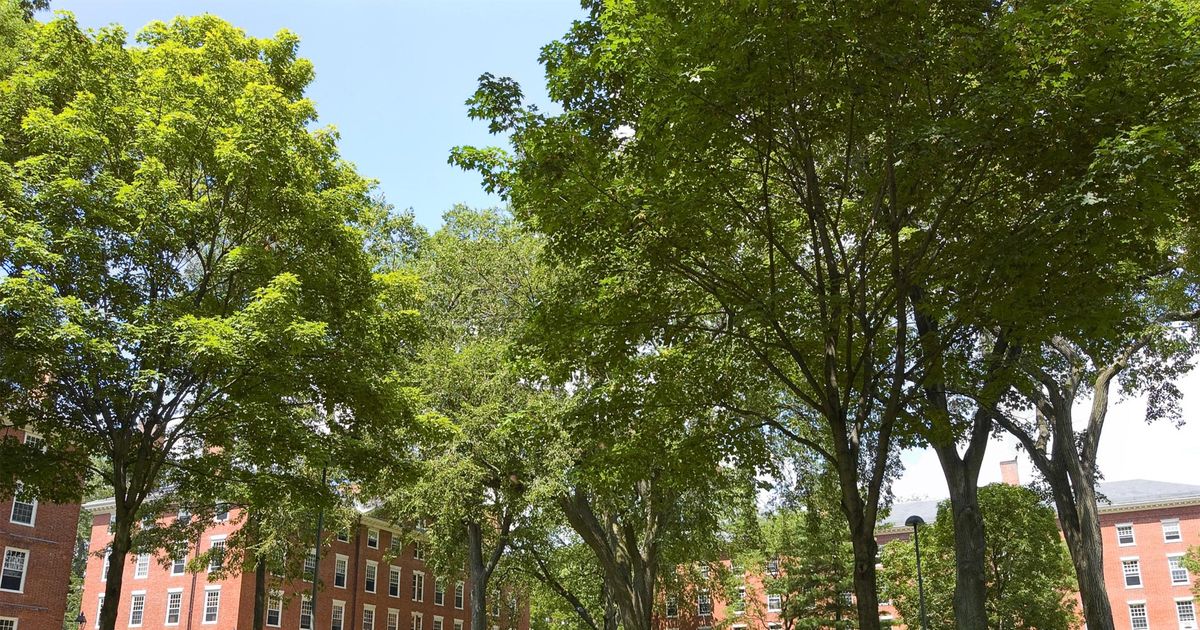 Comedian Alexis Wilkinson Just Wrote a Heartbreaking Essay on Mourning