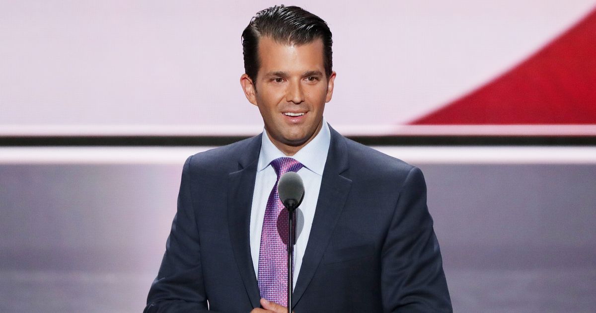 Don Jr. Is Reportedly Talking About a Run for NY Governor