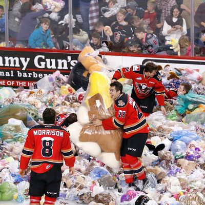 These Hockey Players Being Showered With Teddy Bears Will Get You ...
