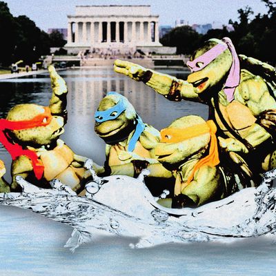 Only the Ninja Turtles Can Save Trump’s Reflecting Pool