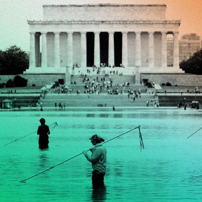 The Science Behind Trump’s Reflecting Pool Debacle