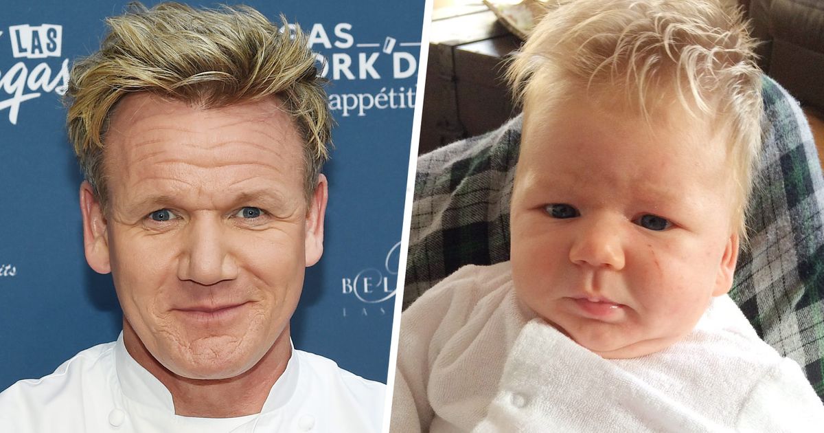 I Am Terrified That This Baby Version of Gordon Ramsay Is Going to Yell ...