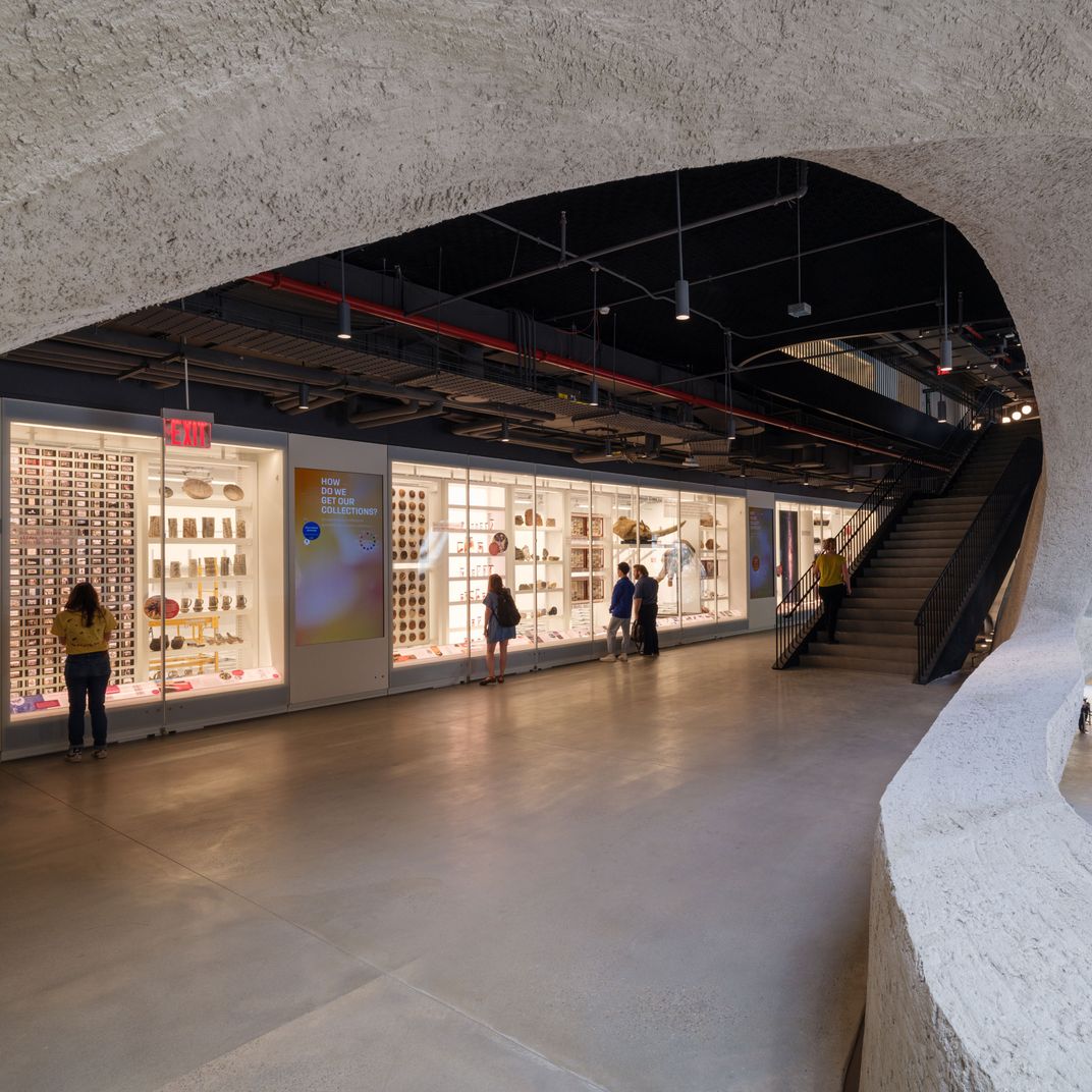 Architecture Review: The AMNH’s Gilder Center