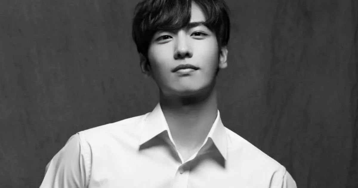 Seoul Halloween Crowd Surge: Lee Ji-han, K-Pop Star, Dead