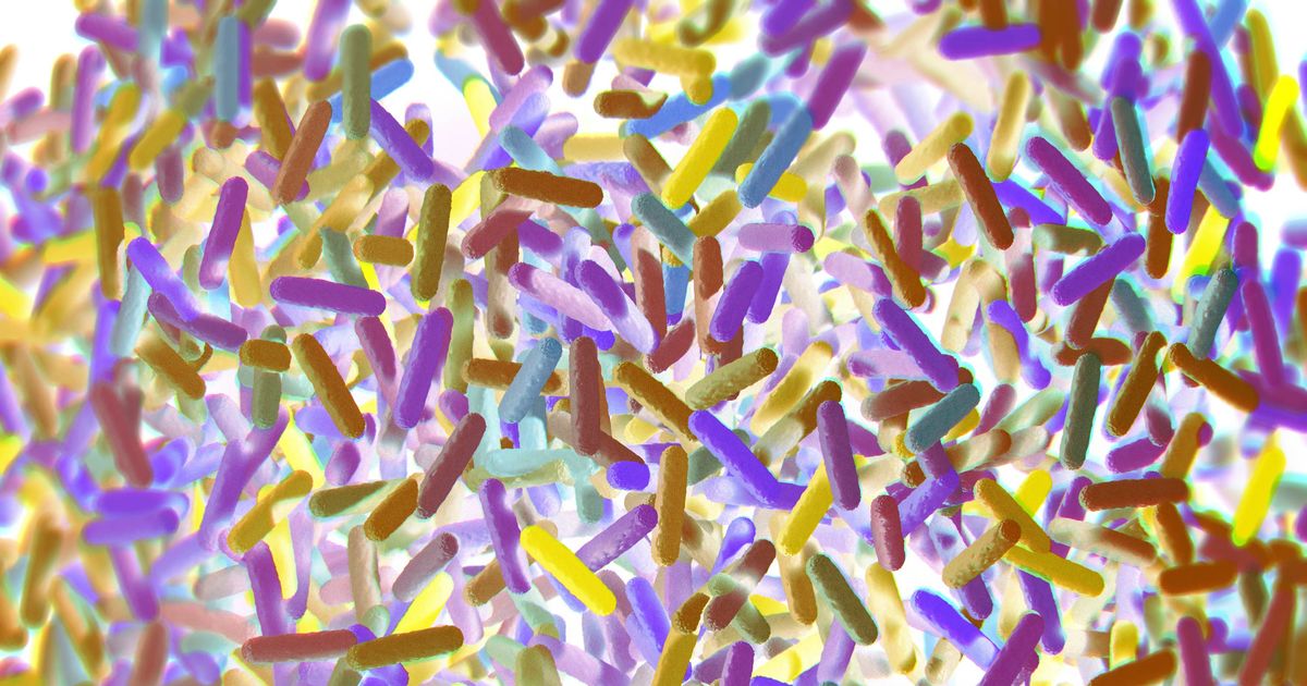 A Traumatic Experience Can Reshape Your Microbiome -- Science of Us