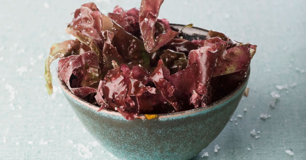Very Cool Scientists Say They’ve Discovered Seaweed That Tastes Like Bacon