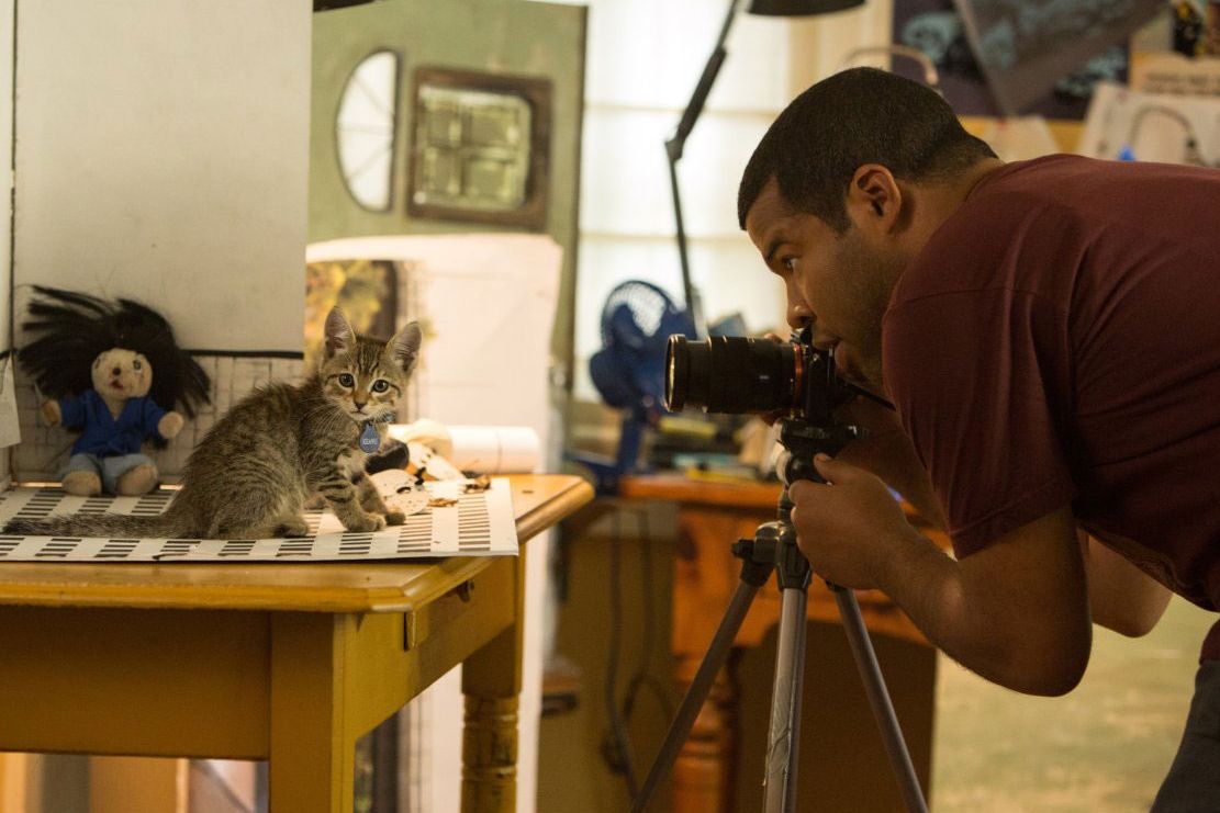 Breaking News: Let’s Talk About Those Kittens in Do-Rags From Key and ...