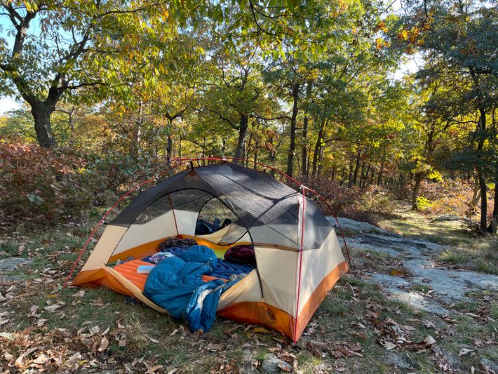 10 Best Outdoor Tents for Camping and Backpacking | The Strategist