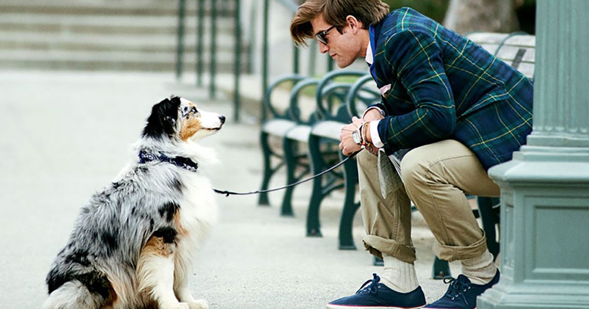 Ranking the Very Good Dogs in 13 Ralph Lauren Ads