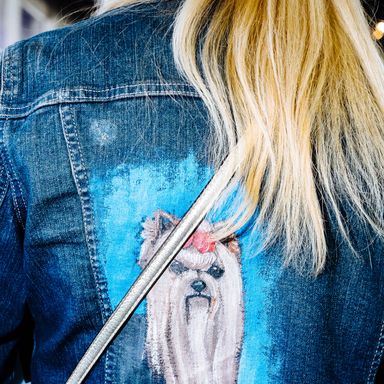 See All of the Primping Pups at the Westminster Dog Show