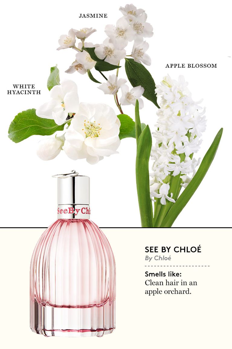What’s New at the Olfactory: 32 New Fragrances for Spring