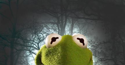 See Muppets Do Twilight