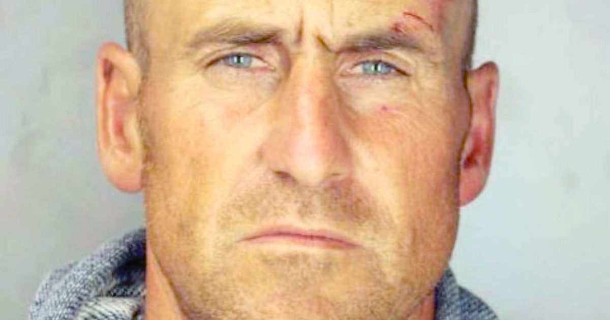 Drew Barrymore’s Alleged Stalker Arrested at NYFW