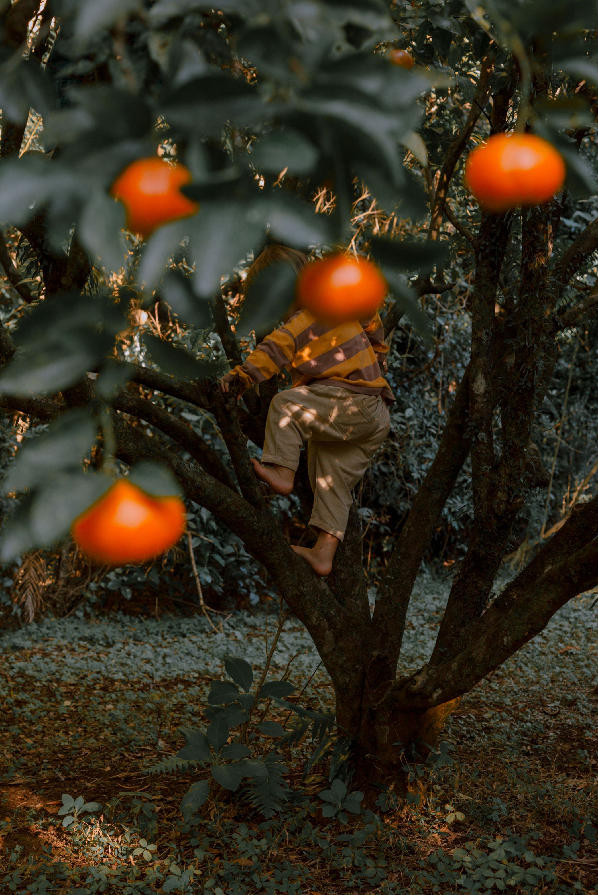 Photographer Captures Grief & New Motherhood Simultaneously