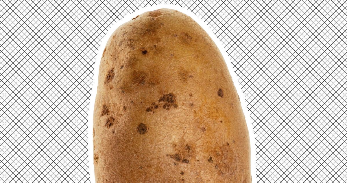 New Zealand Couple Finds Massive Mystery Potato in Garden