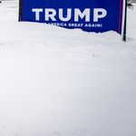 The Hunt for the Trump Tapes Review