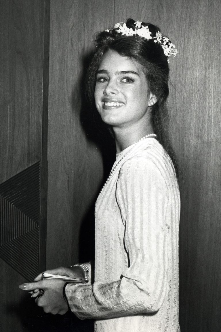 The Brooke Shields Look Book