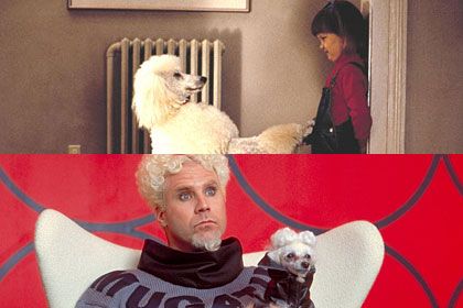 What Breed of Dog Actor Guarantees the Best Movie? A Vulture ...