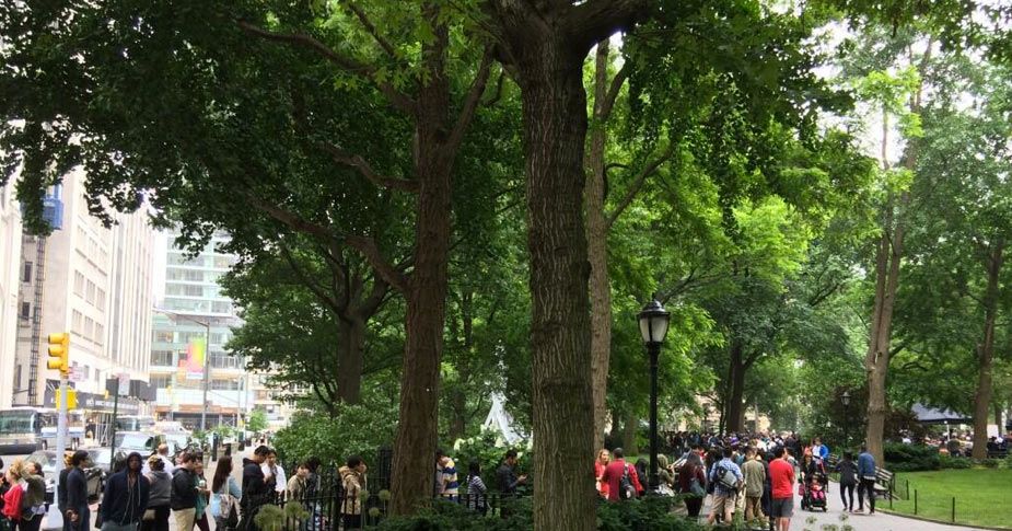Longest-Ever Shake Shack Line Happening Again, Now With Champagne and ...