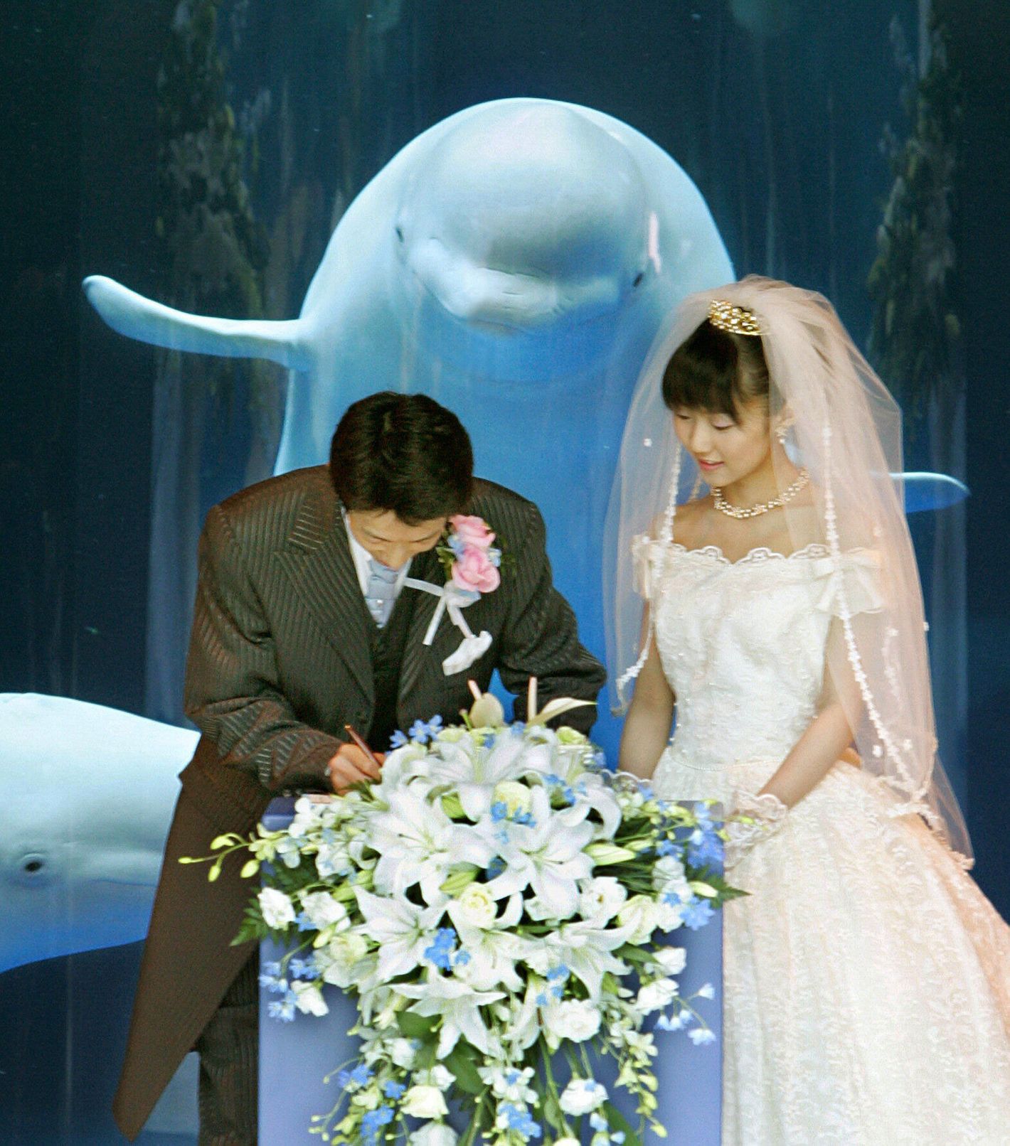 Beluga Whales Photographed at Weddings Trend