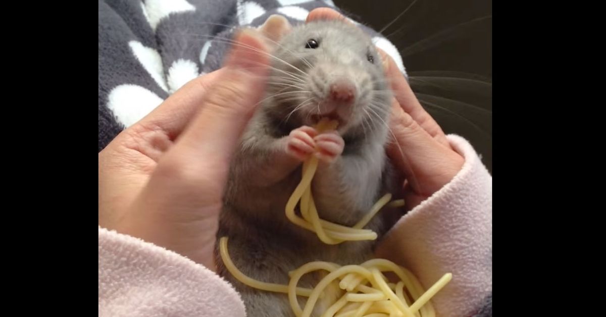 8 Actually Good Things That Happened This Week