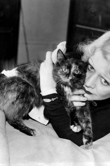 The 50 Most Fabulous (and Famous) Cat Ladies of All Time