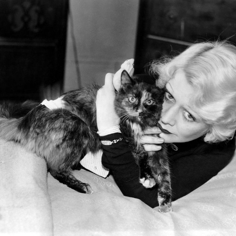 The 50 Most Fabulous (and Famous) Cat Ladies of All Time