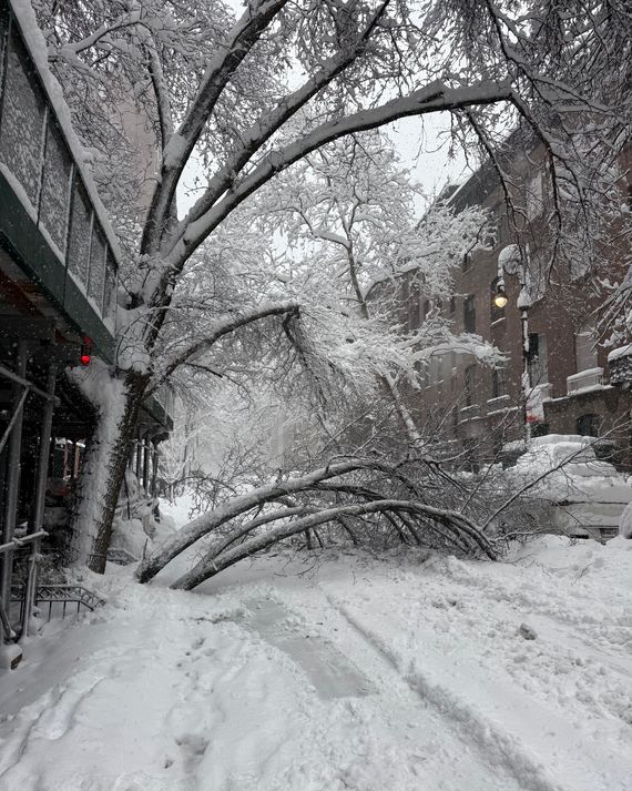 Scenes From Your Blizzard: Photos of Snow-Covered NYC