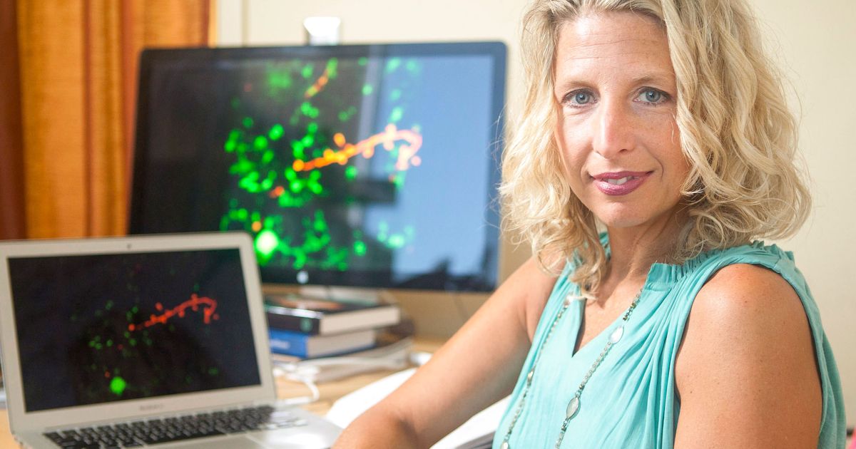 Here’s What Neuroscience’s Newest ‘Genius’ Discovered About the Brain