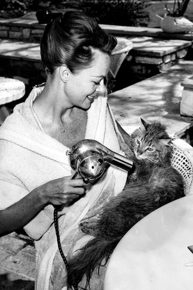The 50 Most Fabulous (and Famous) Cat Ladies of All Time