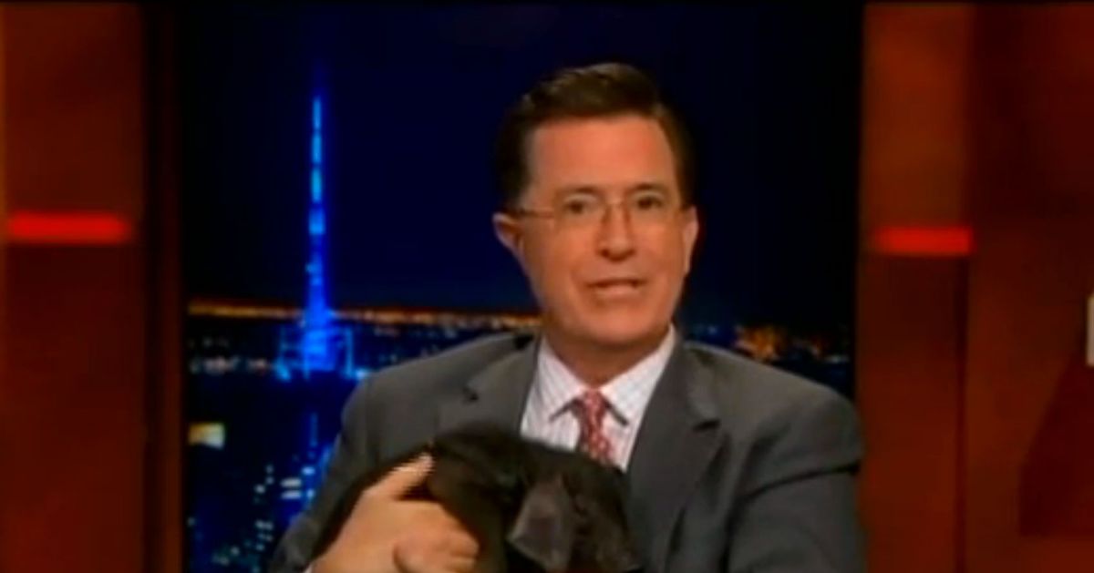 What Happened When Stephen Colbert Met a Delicious New Pig Breed