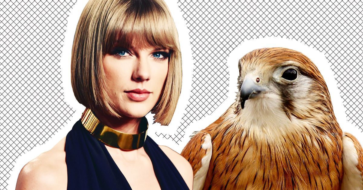 Taylor Swift Visits Falcony Class at Big Sur, CA, Resort